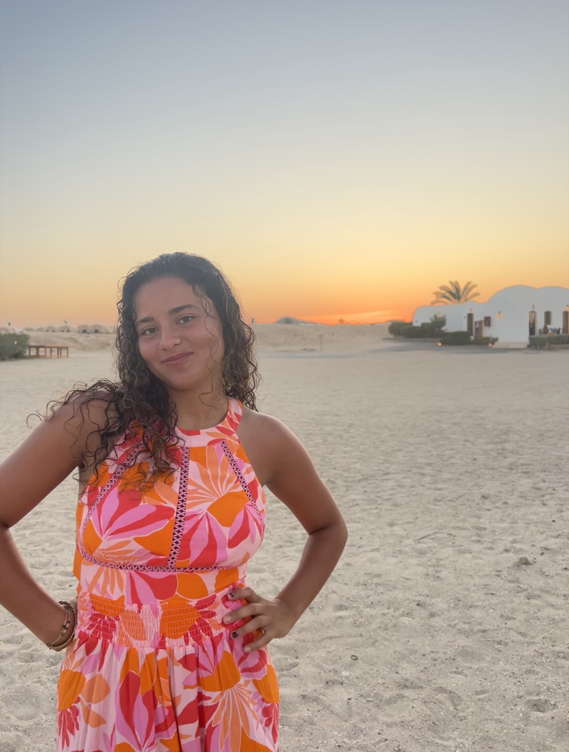 Gadelhak, Salma – The Auger Lab – UW–Madison